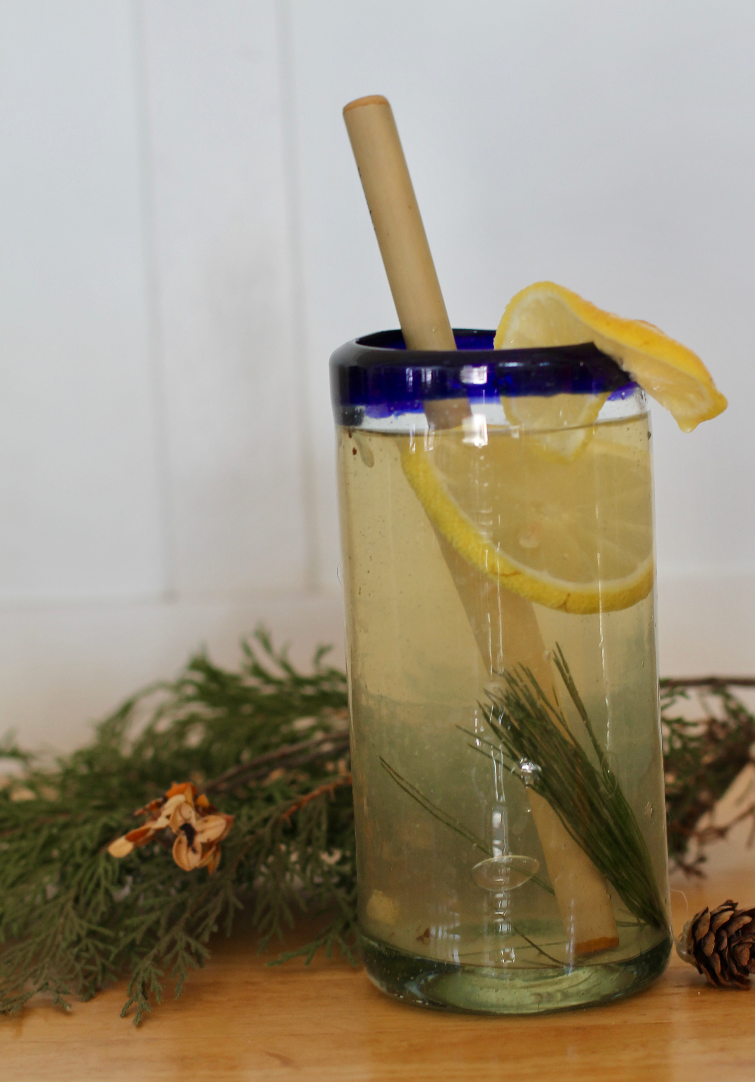 Fizzy fermented pine needle drink – Twin Cities Herbs